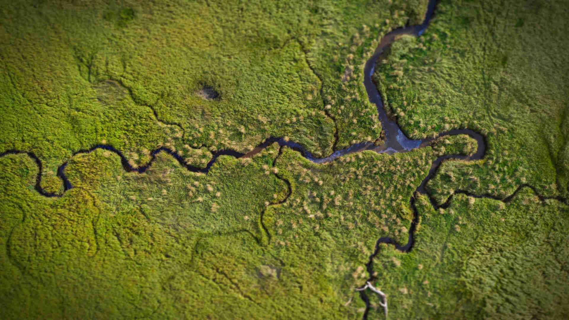 What Is Your Fire Number? (Learn How To Define It!)