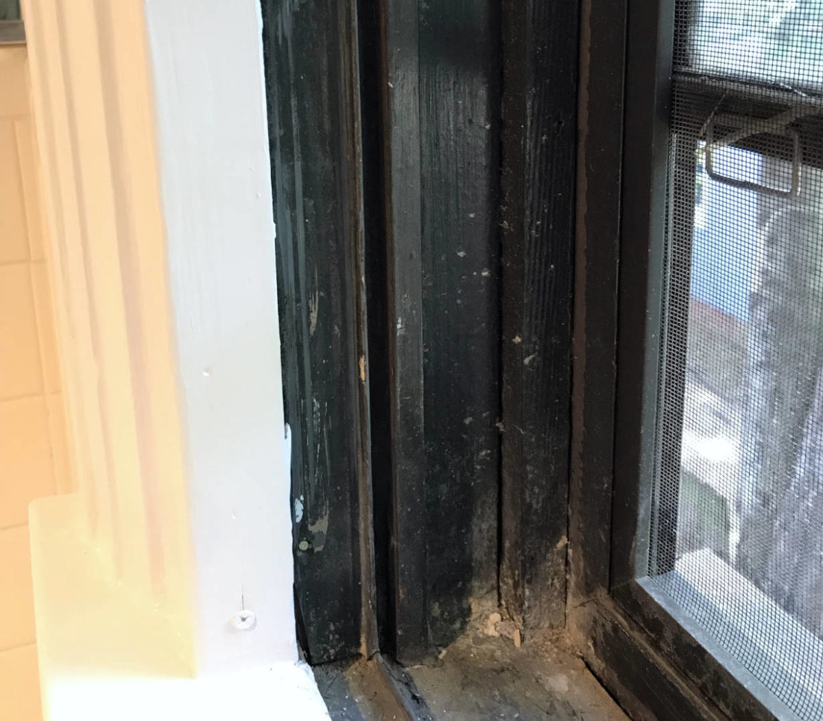 DIY Sash Cord Replacement (Detailed Guide—Saved Us $450!)